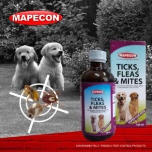 Best Pest Control Products - MAPECON