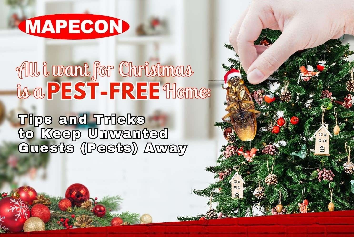 All I Want for Christmas is a Pest-Free Home