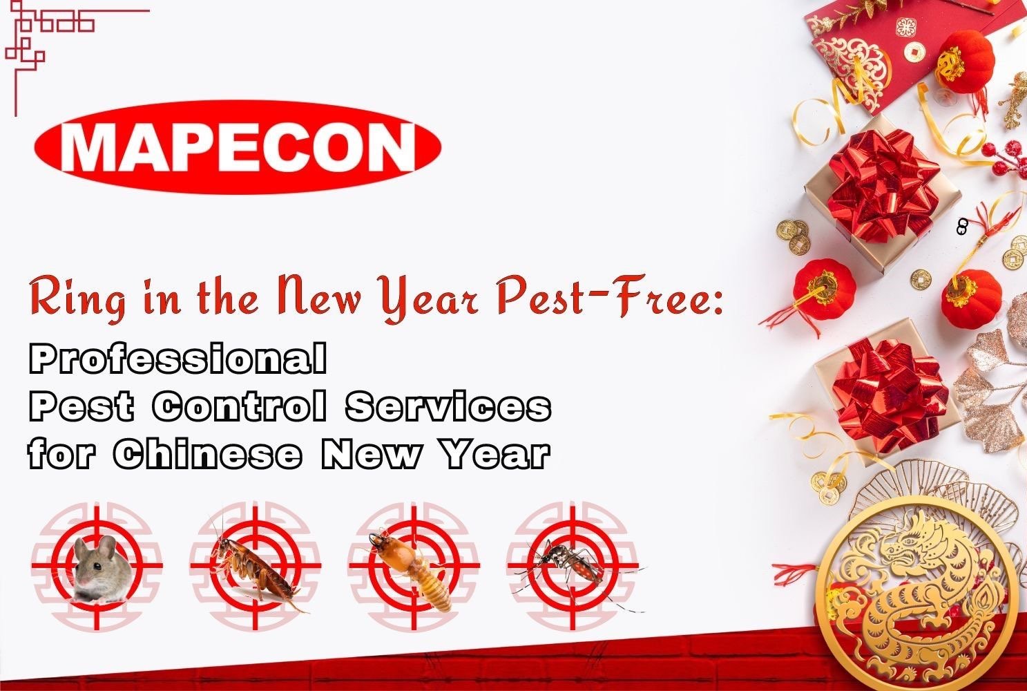Professional Pest Control Services for Chinese New Year